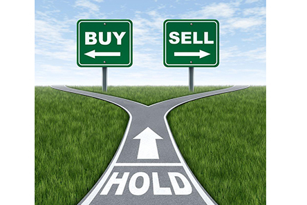 Disposition Effect – BRAIN IN LABOR